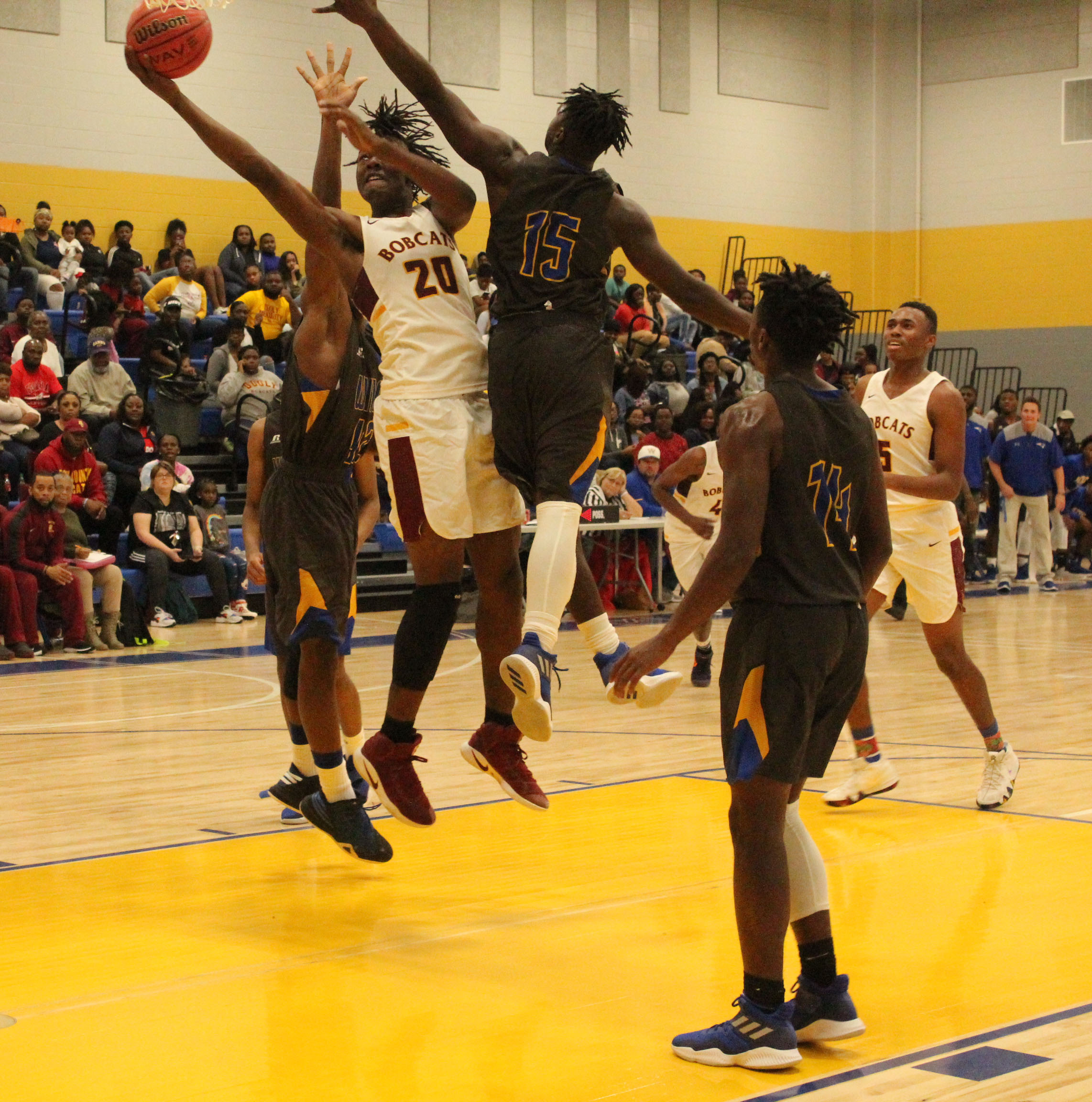 Wilcox basketball teams sweep Dooly in Tip-off Tournament | Cordele ...